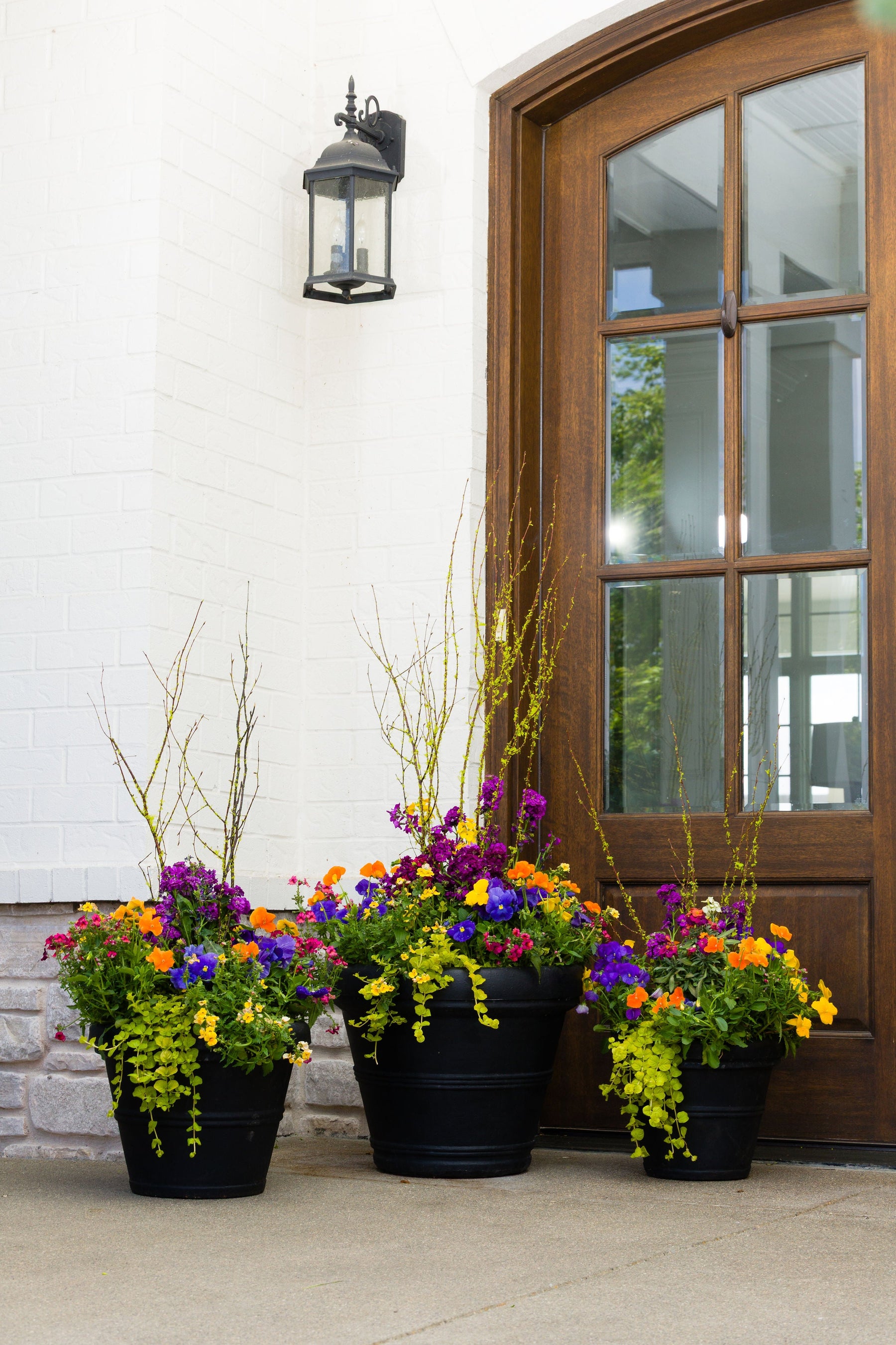 Collections - Porch Pots Direct